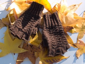 Blue Garter » Mittens, gloves