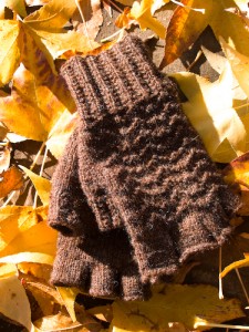 Blue Garter » Mittens, gloves